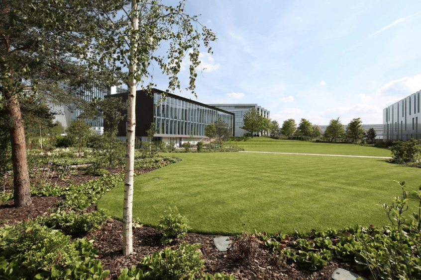 Project Sky Ripple - Prolojik